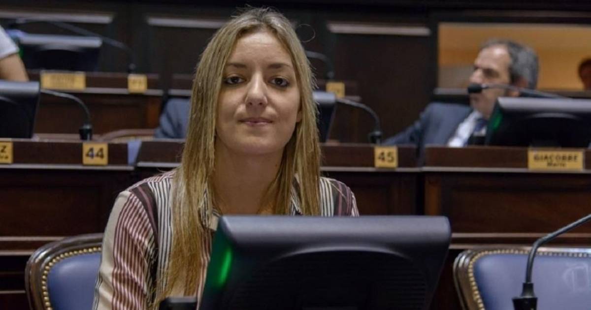 Ricchini iría por un nuevo mandato como diputada | Junín Digital