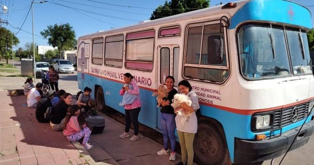 Continúa el operativo de castración y vacunación en los barrios de la ...